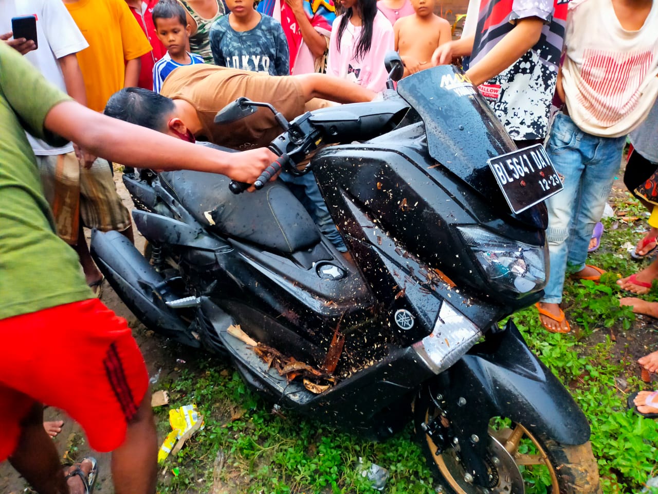Dua Rumah dan Satu Unit Motor Rusak Parah Terimpa Pohon Besar Tumbang