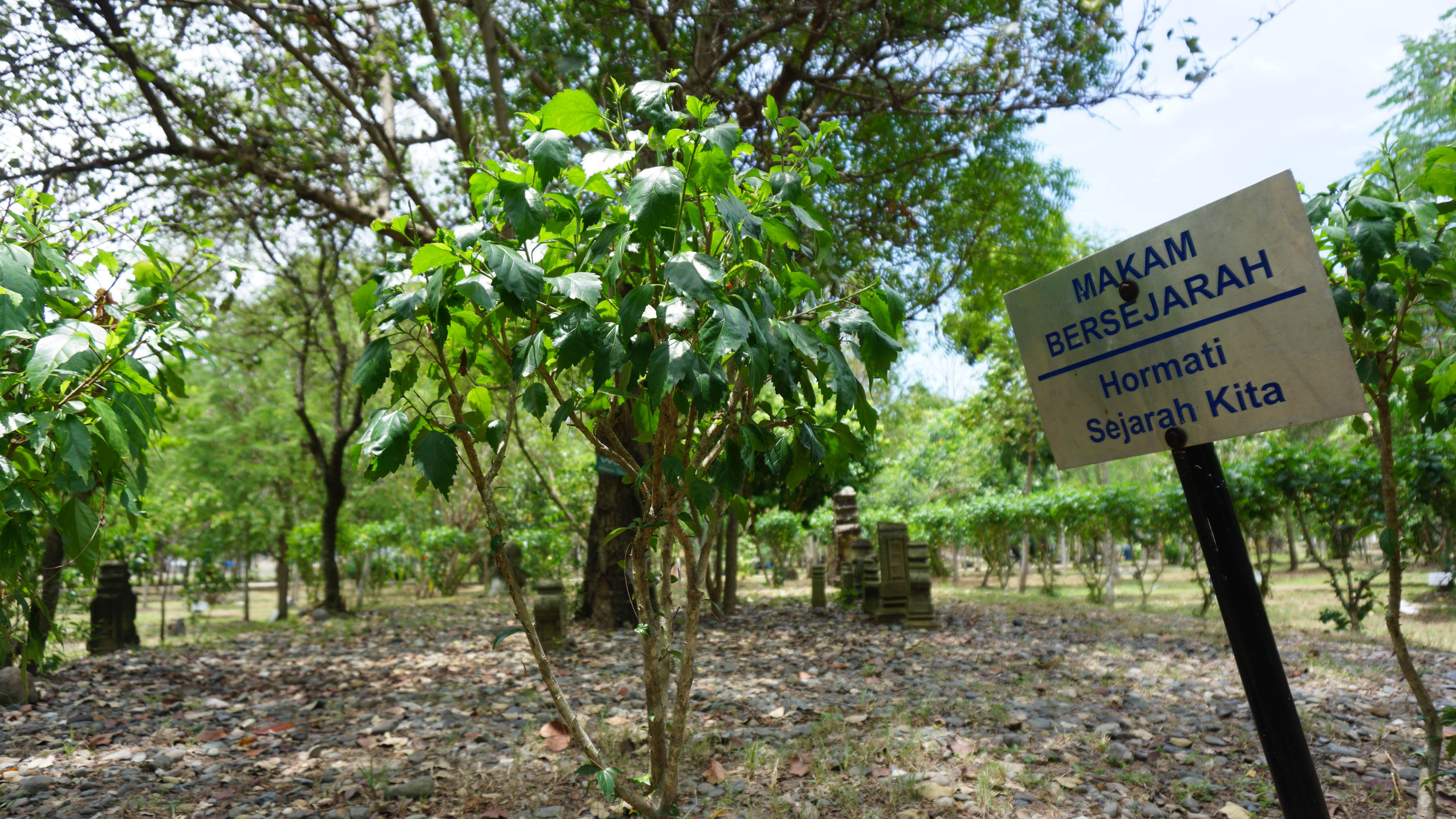 Taman Kota Tibang, Hutan Mini Nusantara di Banda Aceh
