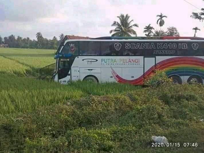 Bus Tronton Putra Pelangi Masuk Sawah di Panton Labu