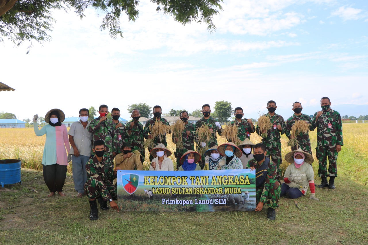 Lanud SIM Laksanakan Panen Padi Tahap Kedua